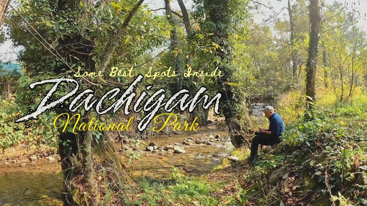 Some Best Spots inside Dachigam National Park - RAW NATURE - YouTube