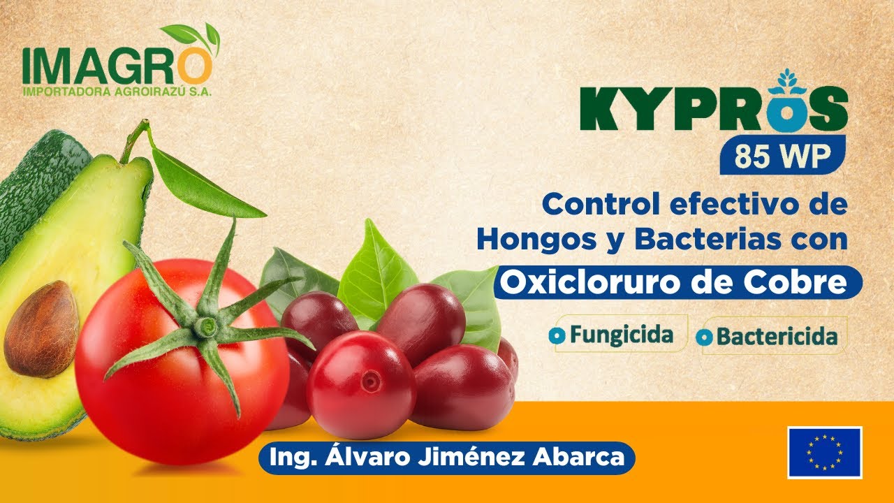 Kypros 85 WP - Control efectivo de Hongos y bacterias con Oxicloruro de ...