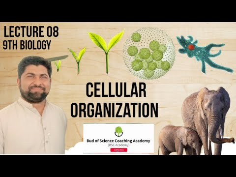 Cellular organization biology | Lecture 8 | 9th biology | Chapter 1 ...