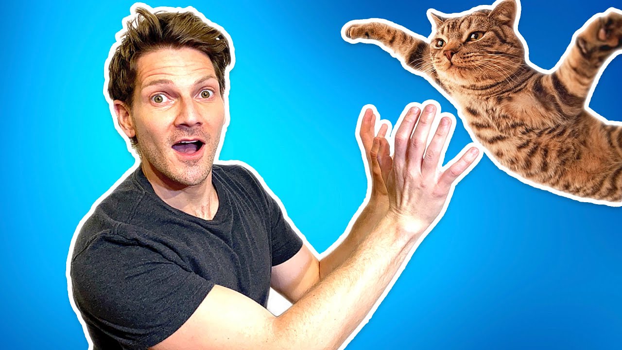 NEW VLOG Sean Renzetti Youtube Channel OFFICIAL Surprise Cat Video ...