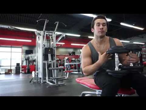 No Pecs No Sex | 4 Exercises to Grow Your Chest
