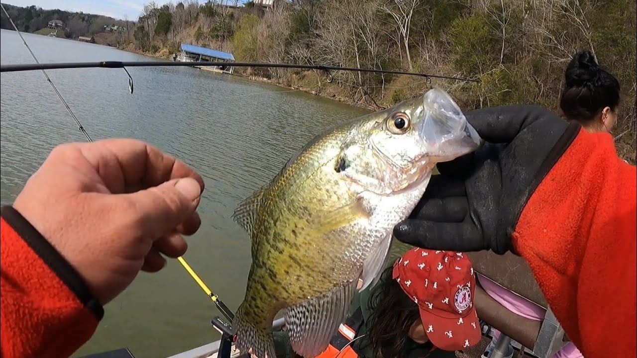 Crappie fishing with blue ice - YouTube