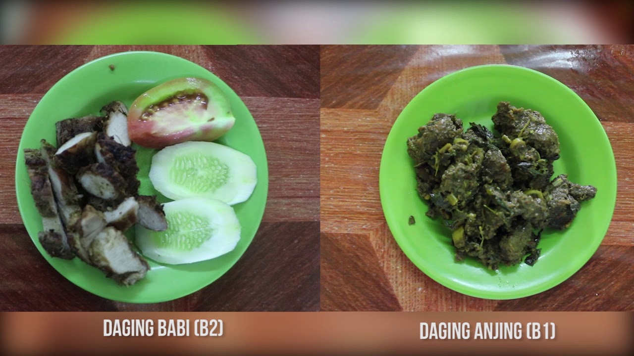 Perbedaan Daging Anjing & Babi - YouTube