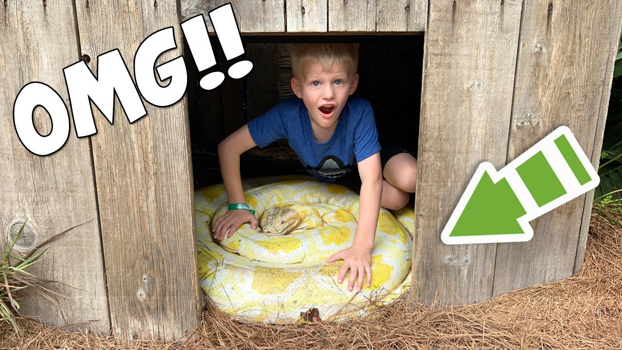6 Year Old Sneaks into Python Cage!!!...and then this happened at ...