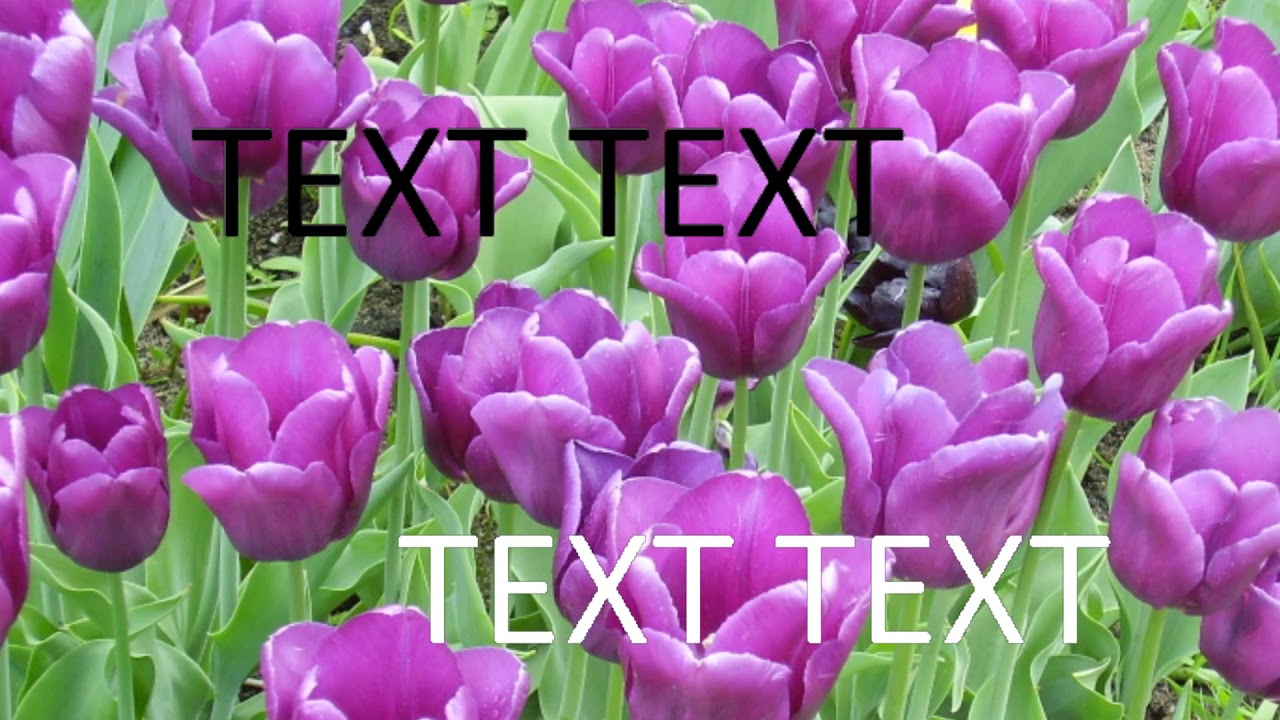 Image animation. Pan left - YouTube