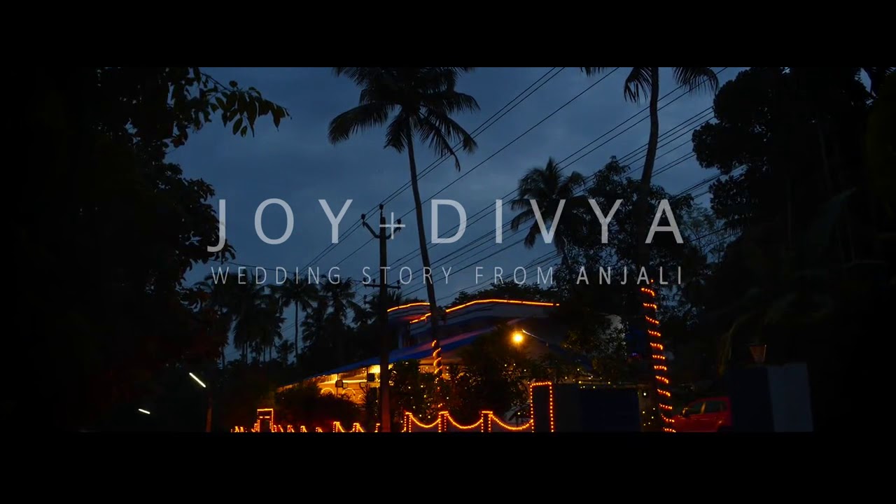 Wedding Highlights Joy + Divya - YouTube