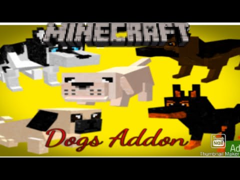 Minecraft Dogs Addon (Meet and Tame more dog breeds in MCPE) - YouTube