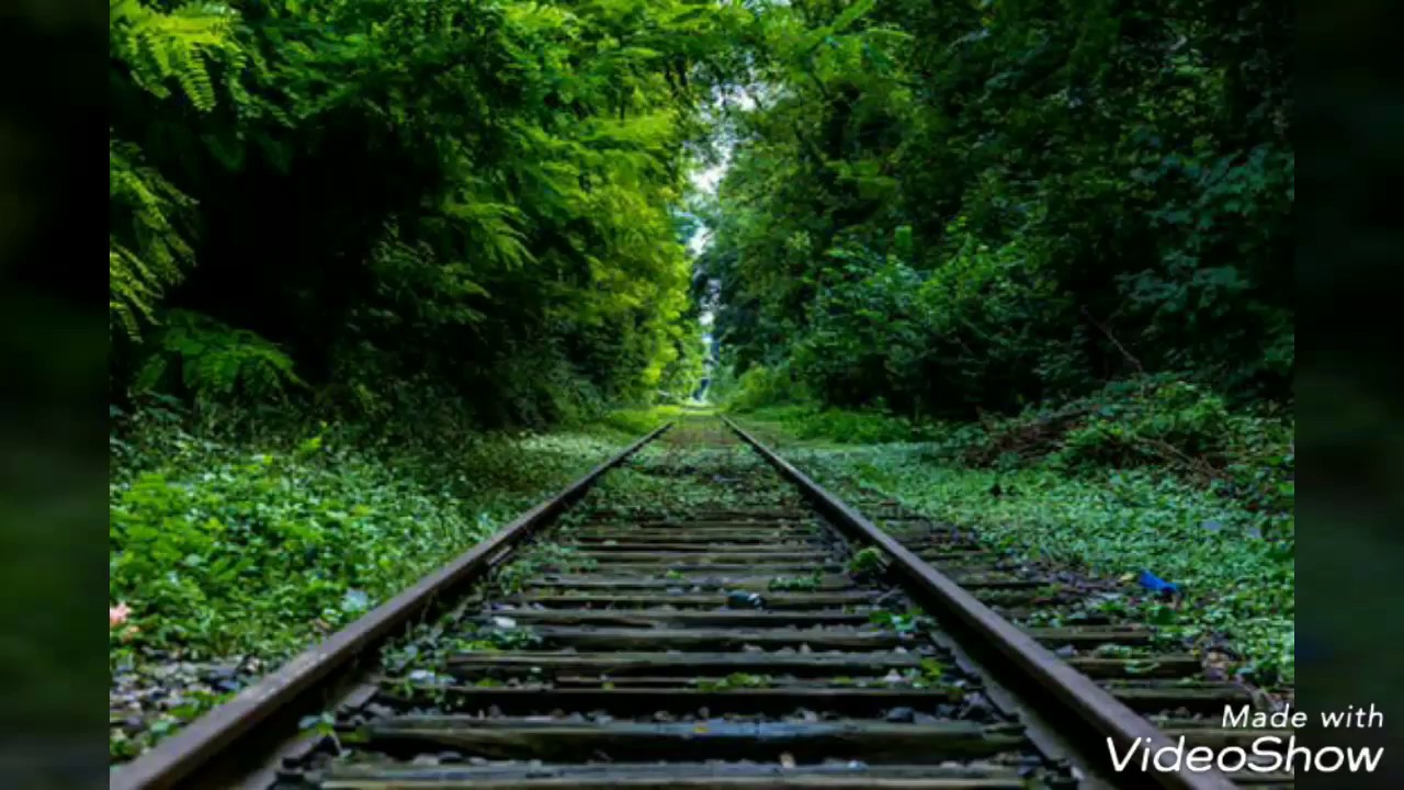 How To Know Train Live Location Trains Live Location Track Train Live how-to-know-train-live-location-trains-live-location-track-train-live