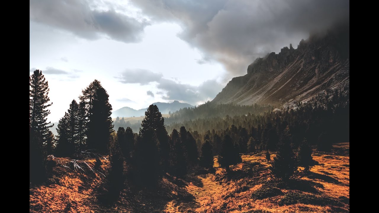 Lzy - Narcyz Sie Nazywam (Remix) - YouTube