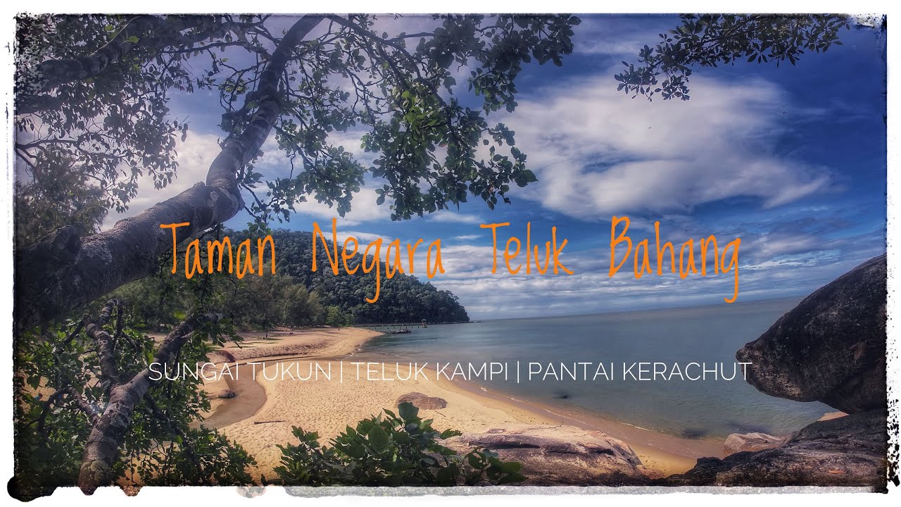 Taman Negara Teluk Bahang - YouTube