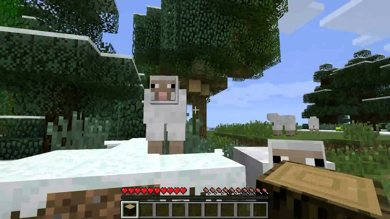 ovelhas suas lindas(minecraft) - YouTube