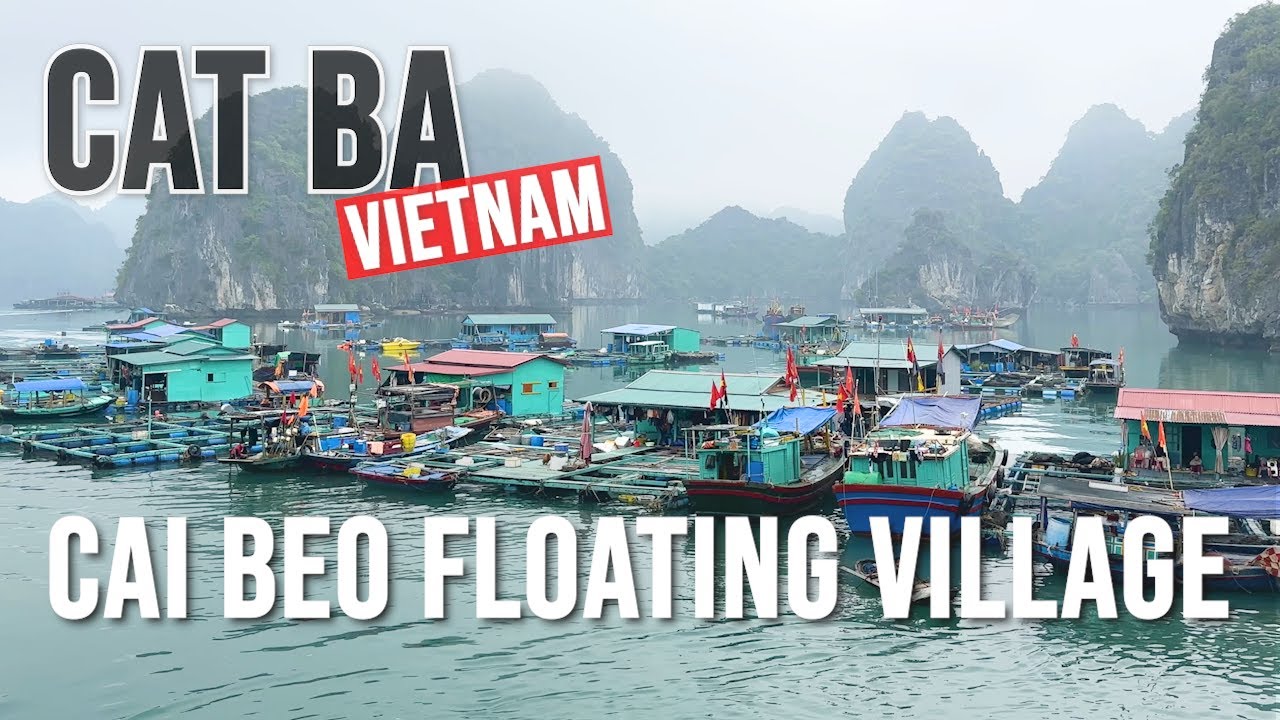 VIETNAM’S LARGEST AND OLDEST FLOATING VILLAGE – Cai Beo Village on Cat ...