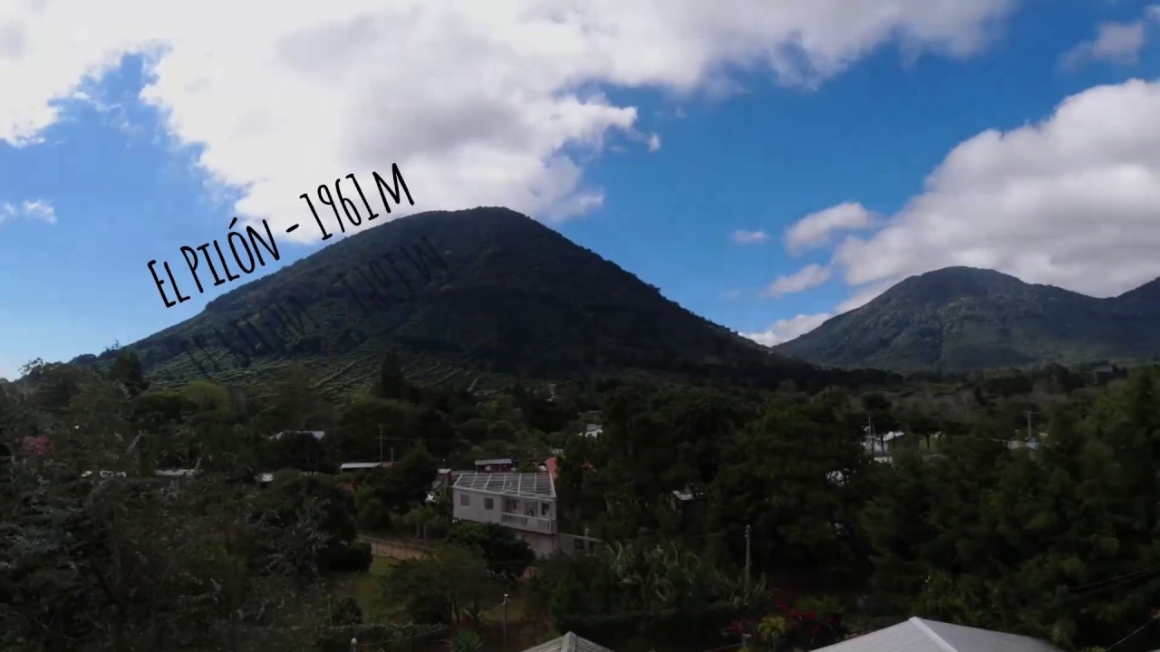 Kinkaju. Cerro El Pilón - YouTube