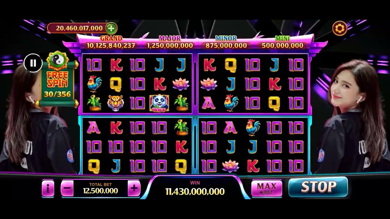 JP PANDA 356 FRE SPIN - YouTube