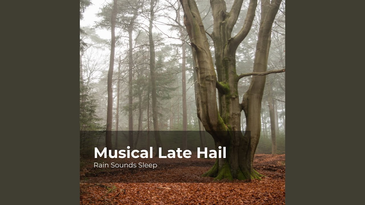 Teeming Rain at Night - YouTube