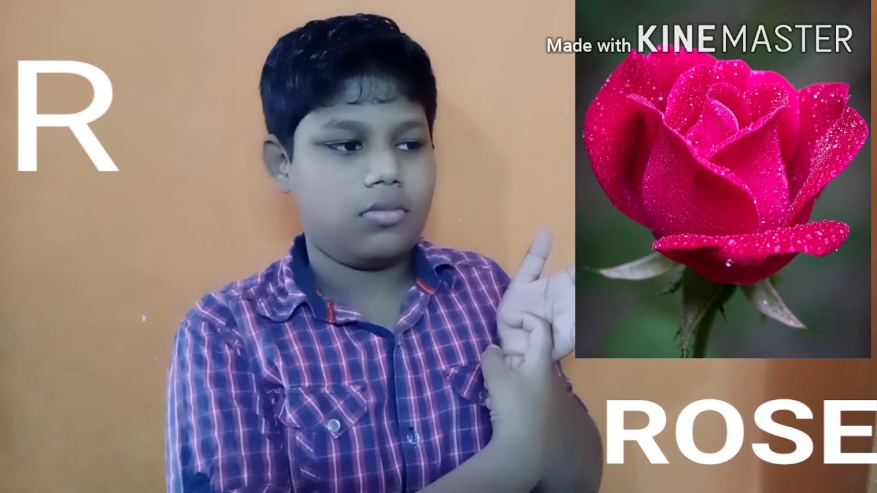 P FOR PARROT TO T FOR TELEPHONE IN SIGN LANGUAGE ||EDUCATION WORLD ...