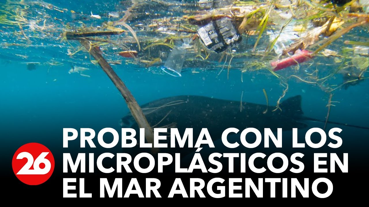 Detectan gran cantidad de microplásticos en el Mar Argentino - YouTube