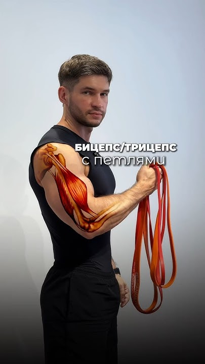 БИЦЕПС И ТРИЦЕПС С РЕЗИНОВЫМИ ПЕТЛЯМИ Youtube