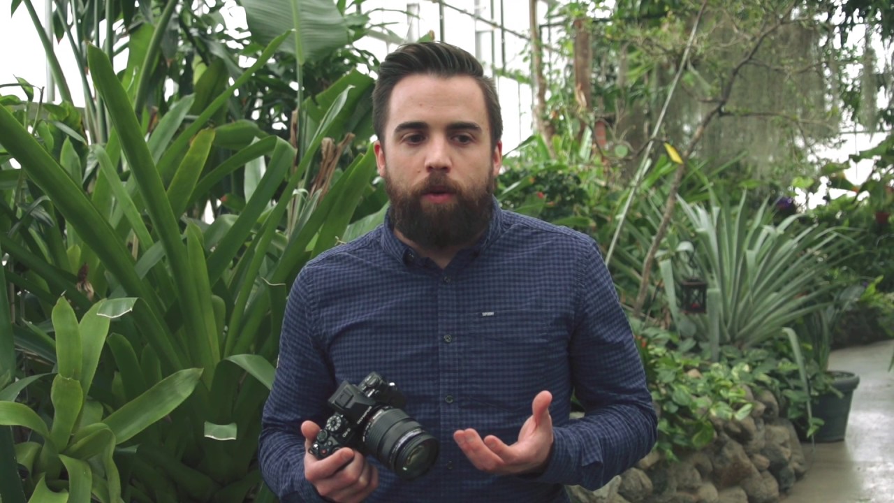 Olympus EM1 Mark II Hands on with Image Samples + 300mm f4 - YouTube