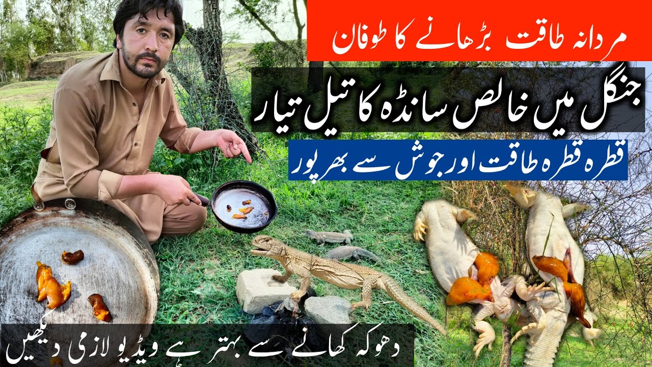 Sande ka tel kaise banta ha live | Jangli sandy ka oil banane ka tarika ...