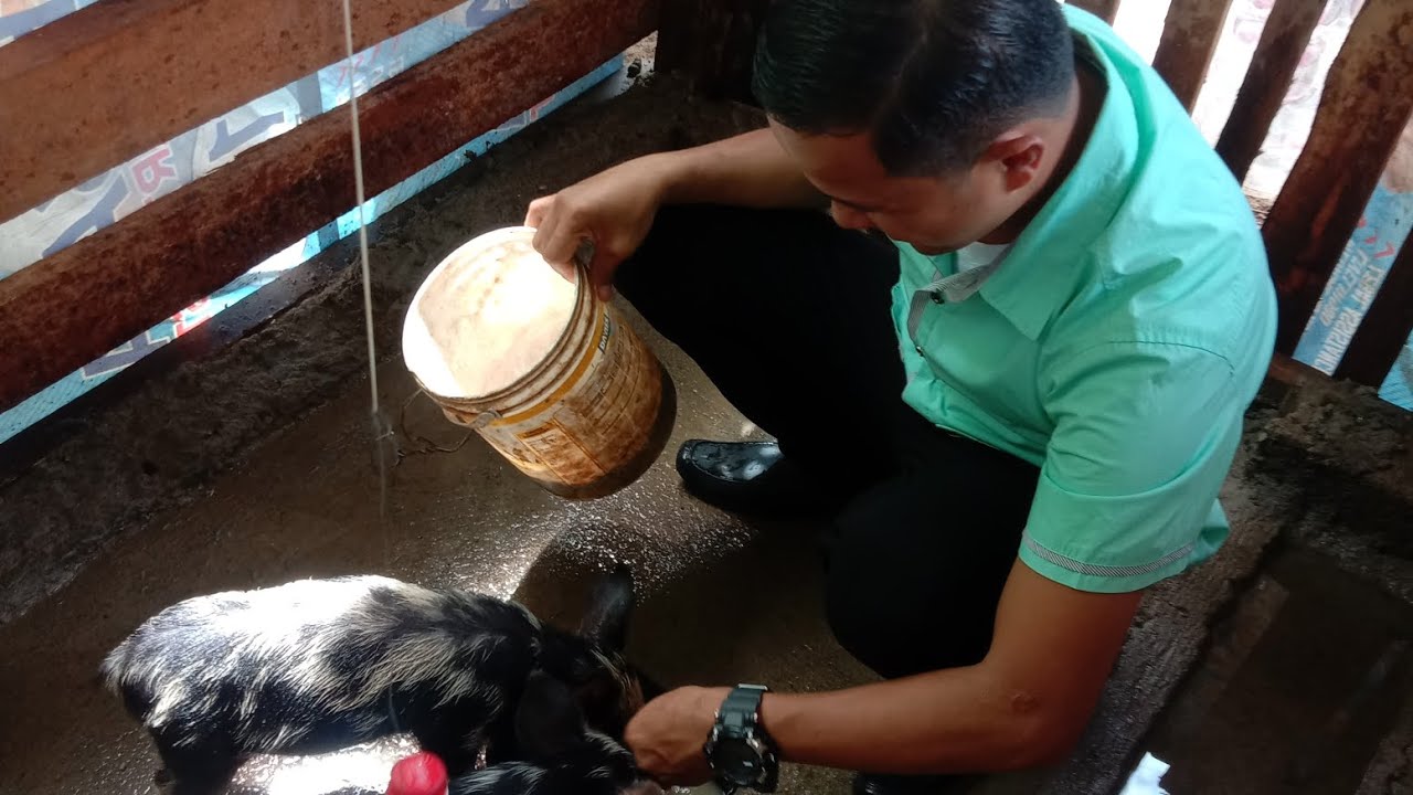 Baktin! Backyard raiser! - YouTube