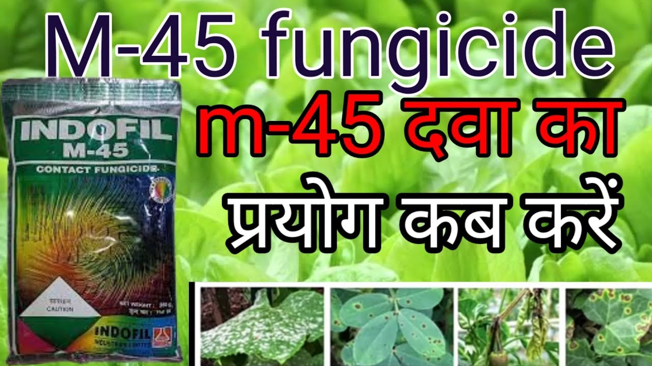 m45 fungicide || indofil m45 || contact fungicide ||mancozeb 75 wp ...