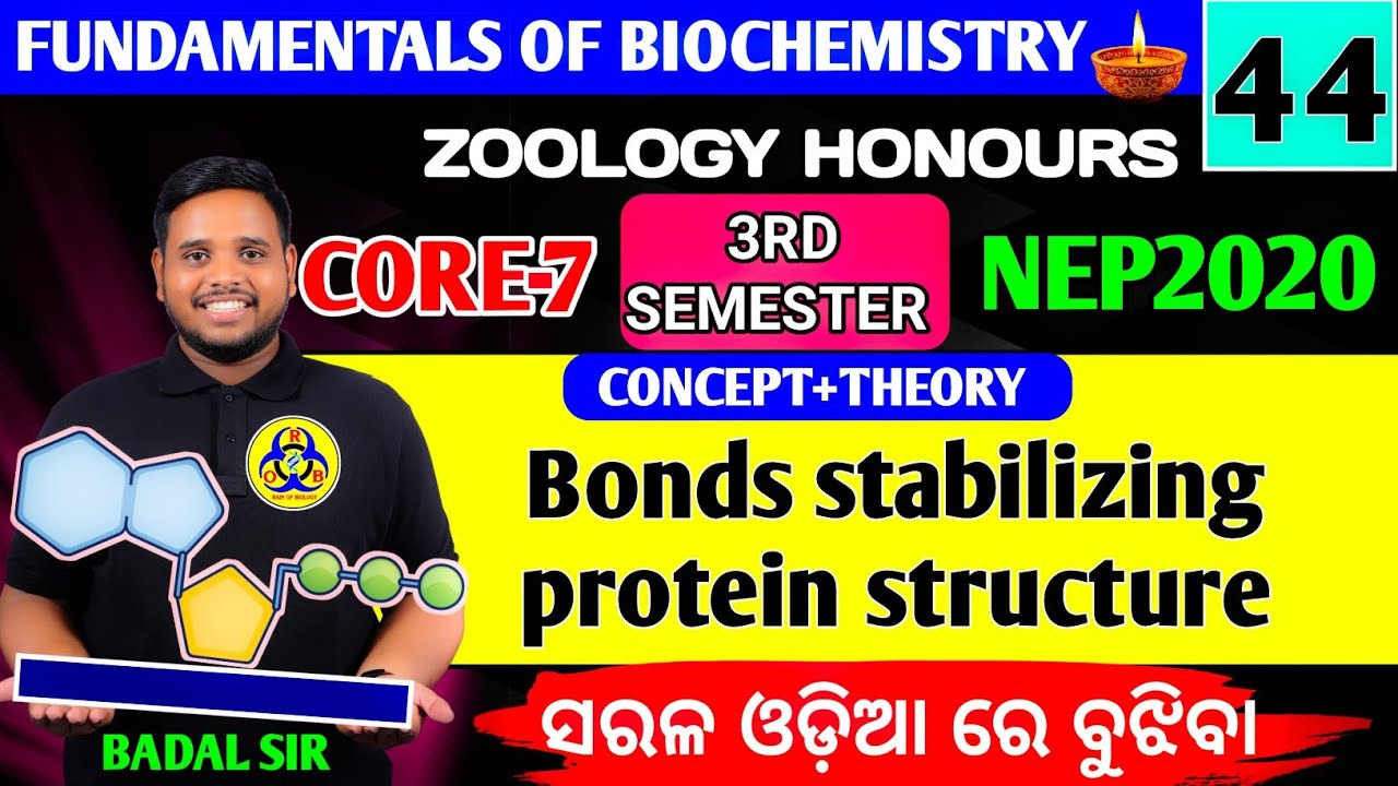 Bond stabilizing protein structure|Biochemistry core7|Zoology honours ...