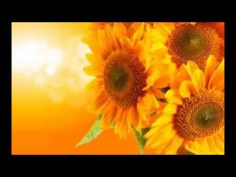 Sooryakanthi poo chirichu.............(kdas) - YouTube