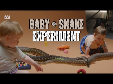 The Surprising Reason Babies Are NOT Afraid of Snakes | Secret Science