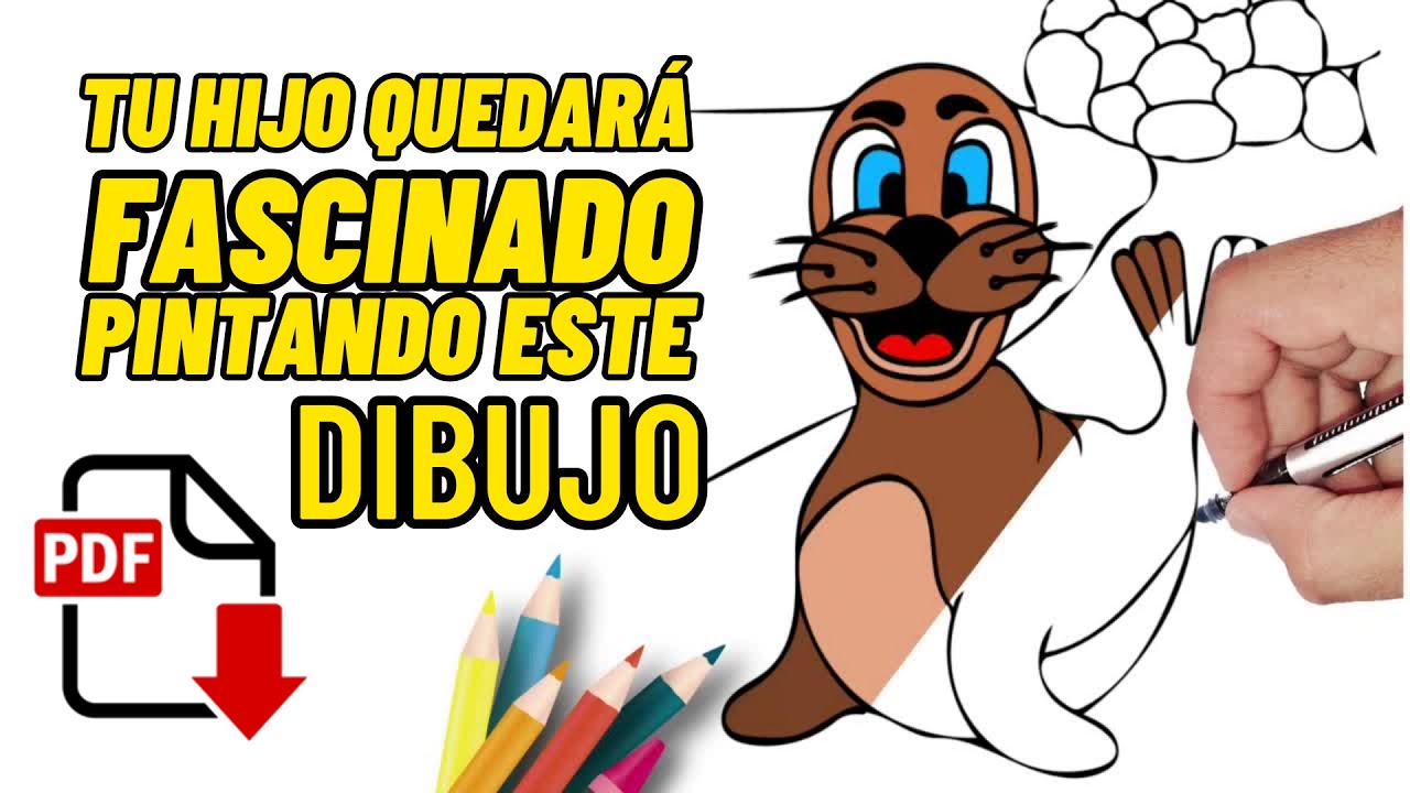 Como DIBUJAR una FOCA Paso a Paso - Dibujo de una FOCA - YouTube