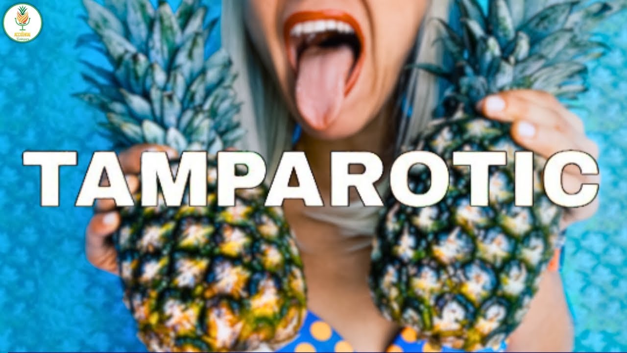 BEST Hotel Takeovers in Florida? | Swingers Lifestyle | TampArotic INTERVIEW | Part 1 - YouTube