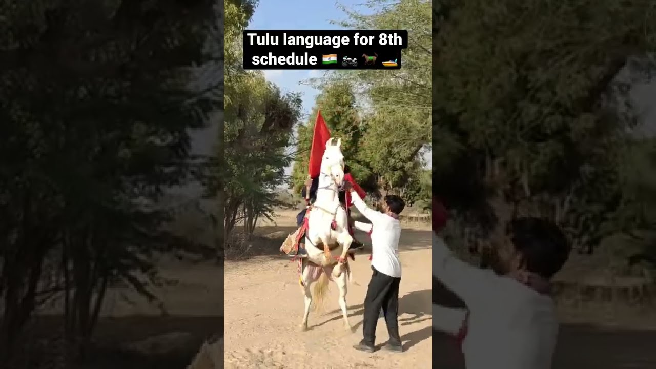 Tulu Language For 8th Schedule tulunadu tuluvas YouTube Tulu Language For 8th Schedule tulunadu tuluvas YouTube