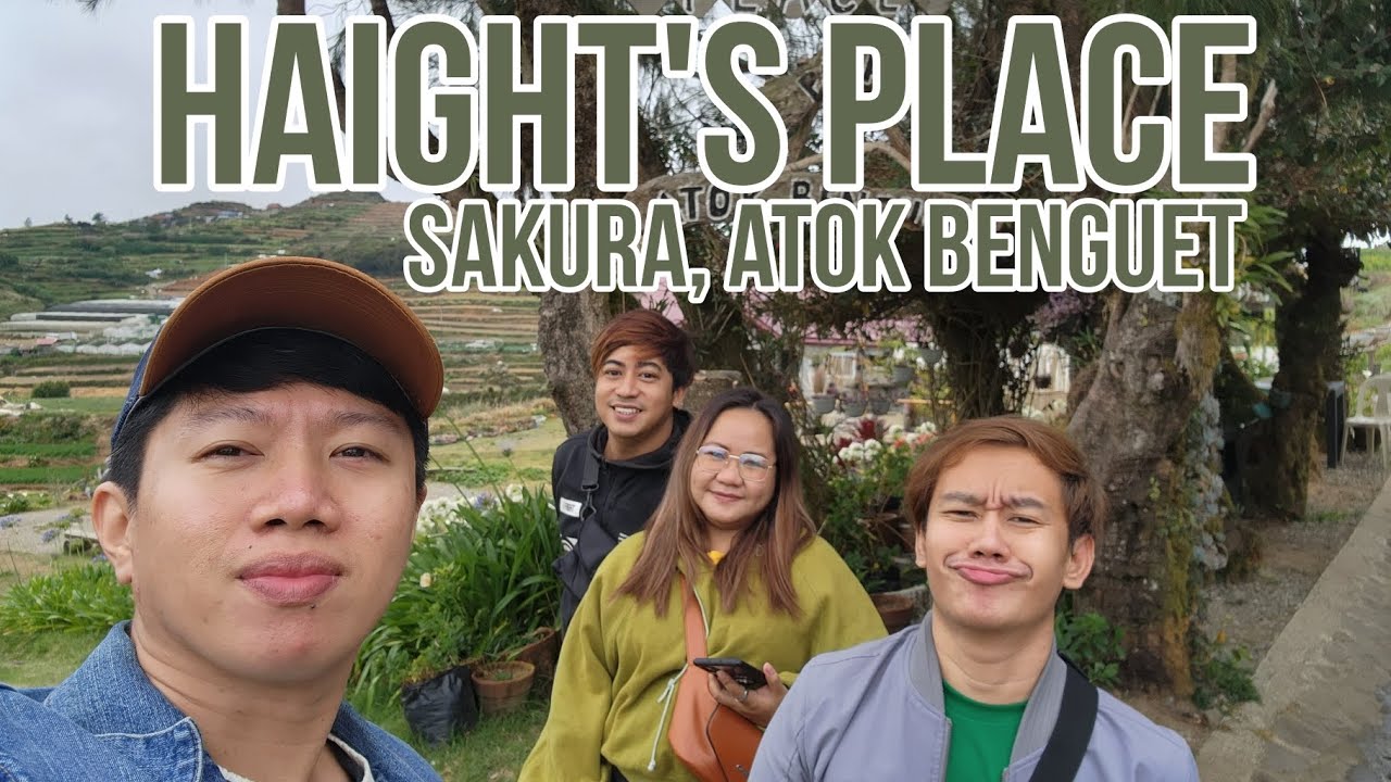 HAIGHT'S PLACE - SAKURA TREE - ATOK BENGUET -SUNRISE CABIN - BAGUIO ...