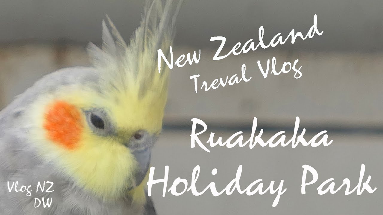 Ruakaka Holiday Park - One of the Largest Campgrounds in New Zealand ...