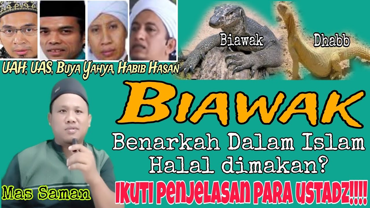 Biawak itu Sebenarnya Halal atau Haram ya? apakah biawak itu Dhob ...