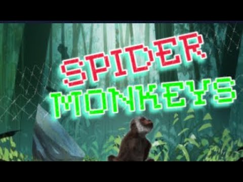 Spider Monkeys OFFICIAL Game Trailer (read desc) - YouTube