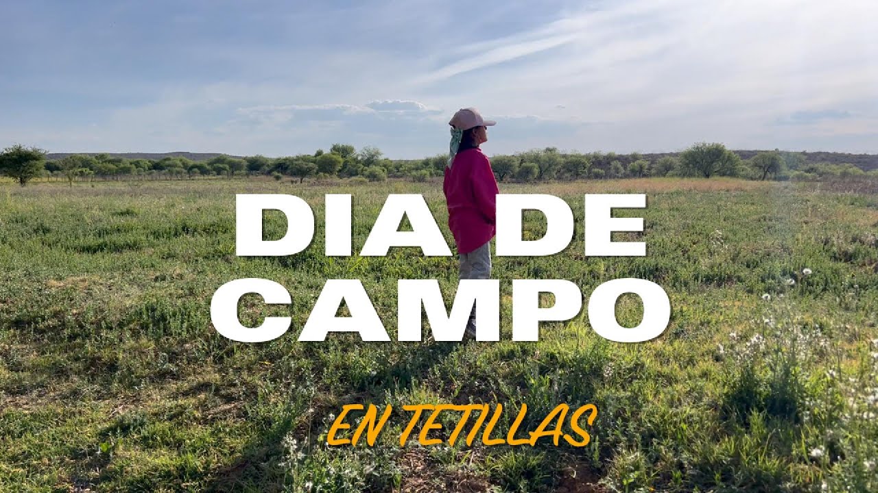 DIA DE CAMPO CON MI FAMILIA - YouTube