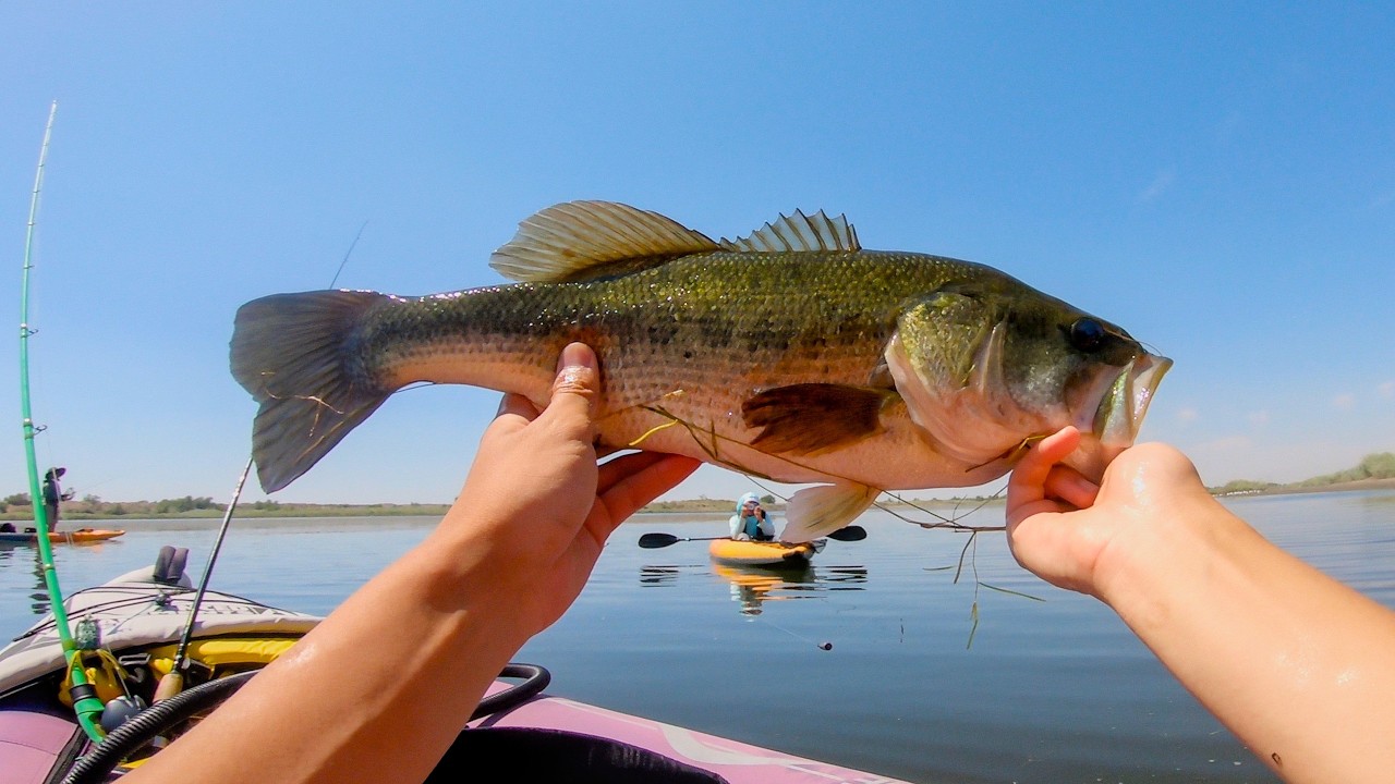 Kayak Bass Fishing Potholes Reservoir! - YouTube