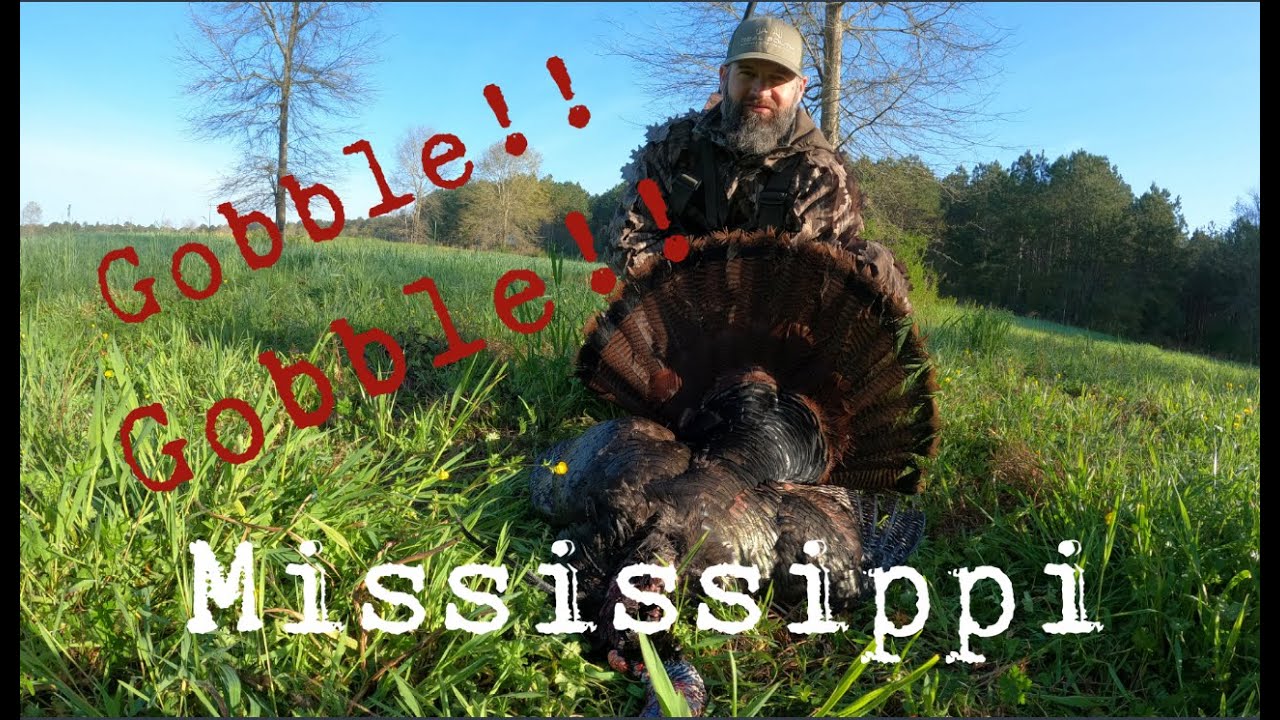This Gobbler Flew Right Over Brook & Ms Gobbler Gobbled His Head Off ...