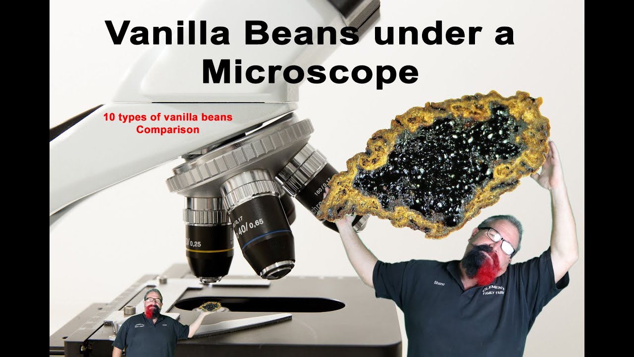 10 Types of Vanilla Beans under a Microscope! - YouTube