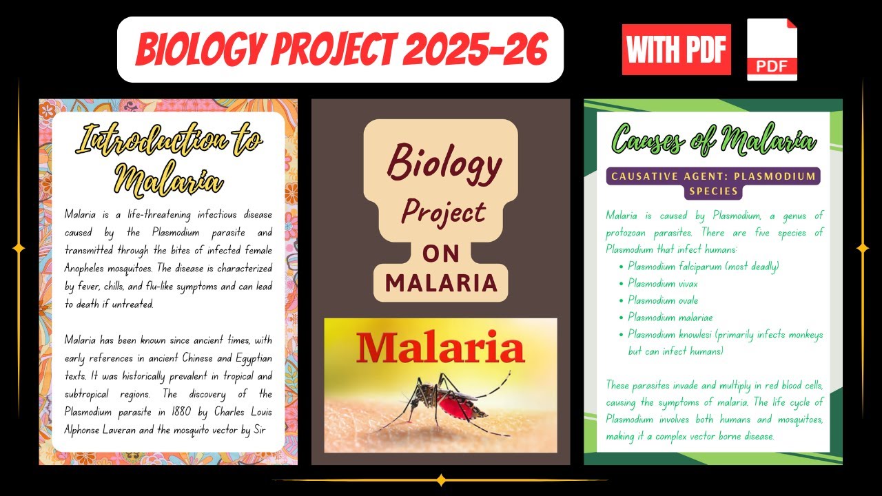 Malaria Biology Project File for Class 12 (2025) | Causes, Life Cycle ...