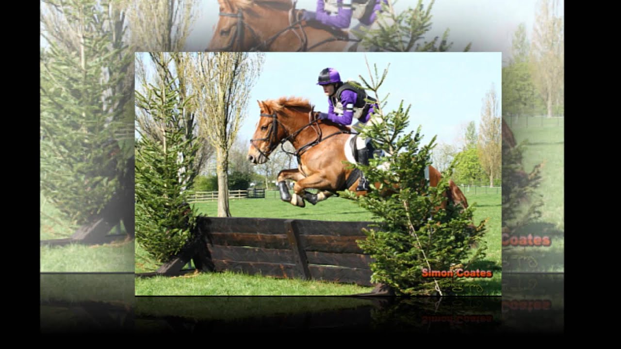 Bignell Hunter Trials 2014 - YouTube
