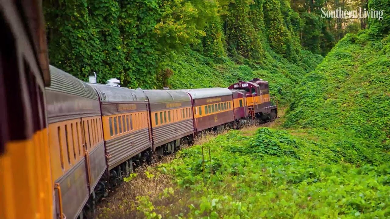 Hop Aboard This One-Time Train Adventure for Ultimate Tour of the Smoky ...