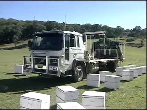 Australian Beekeeping - Apiculture in Australia - YouTube