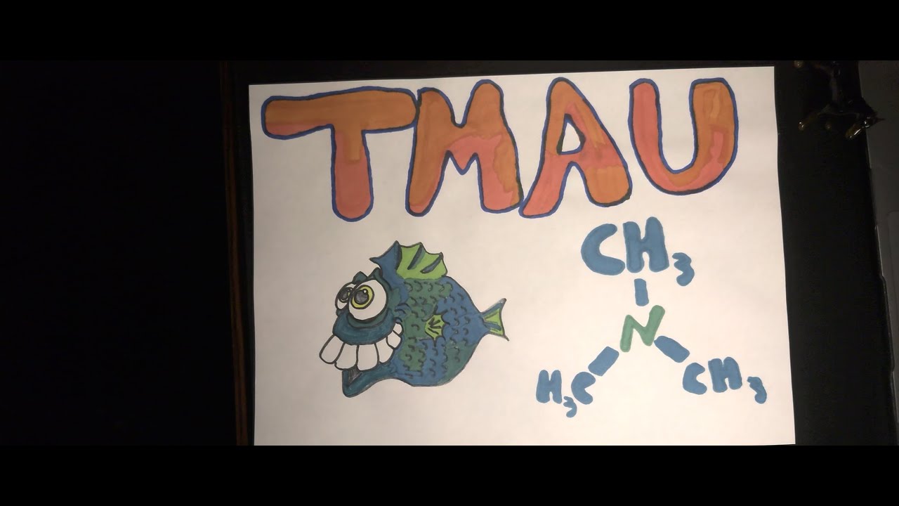 TRIMETHYLAMINURIA / TMAU - YouTube