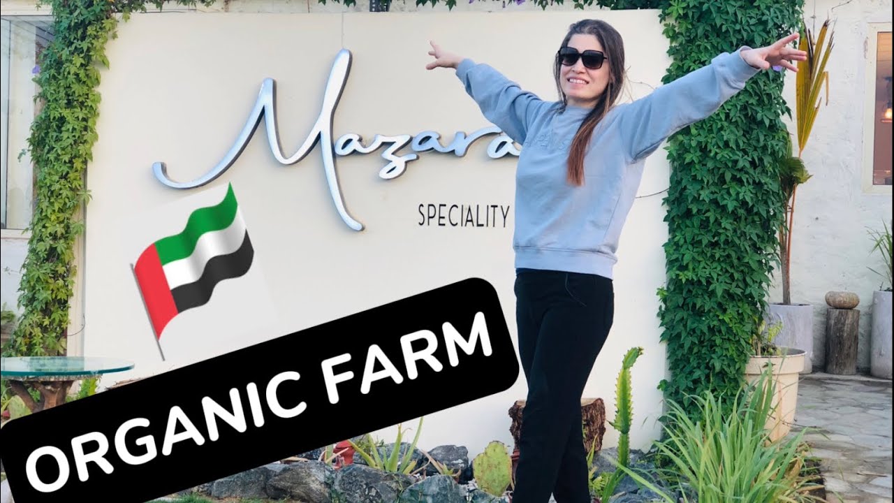 YOUR KIDS CAN EXPERIENCE A VILLAGE LIFE IN DUBAI | AL MAZARA FARM ABU ...