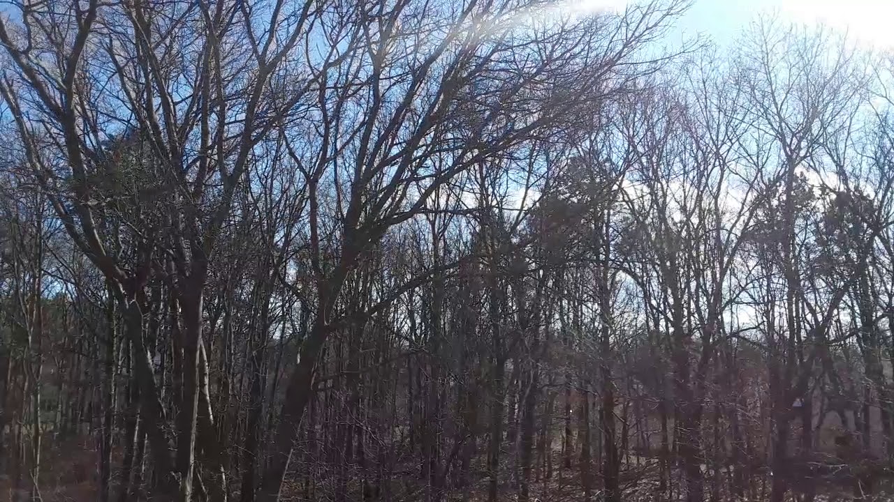 damaging winds gusting 60-75 mph in long island - YouTube