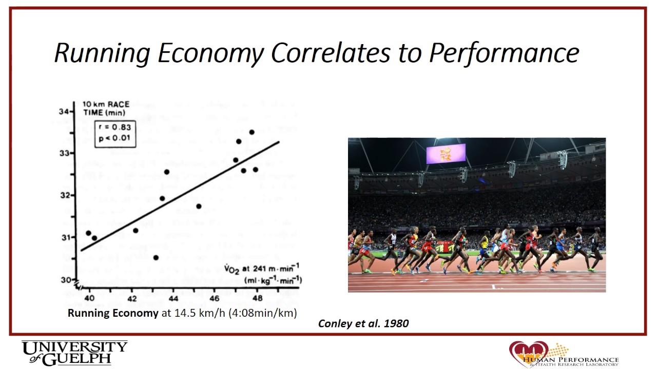Running Economy: The Human Performance Lab - YouTube