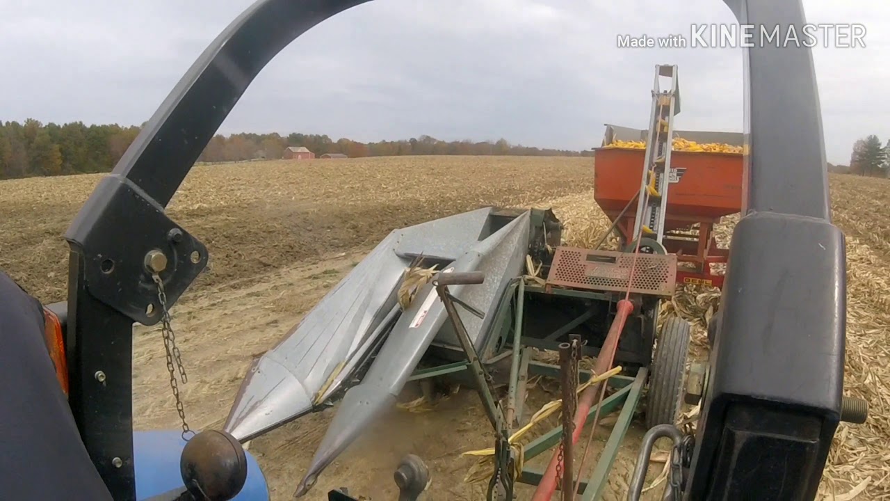 Ear corn picker picking corn - YouTube