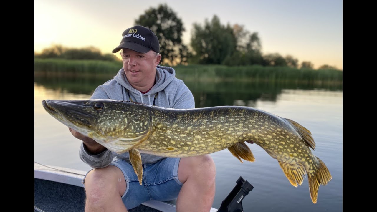 GROTE SNOEK GEVANGEN TIJDENS TROLLEN MET GROOT KUNSTAAS! - YouTube